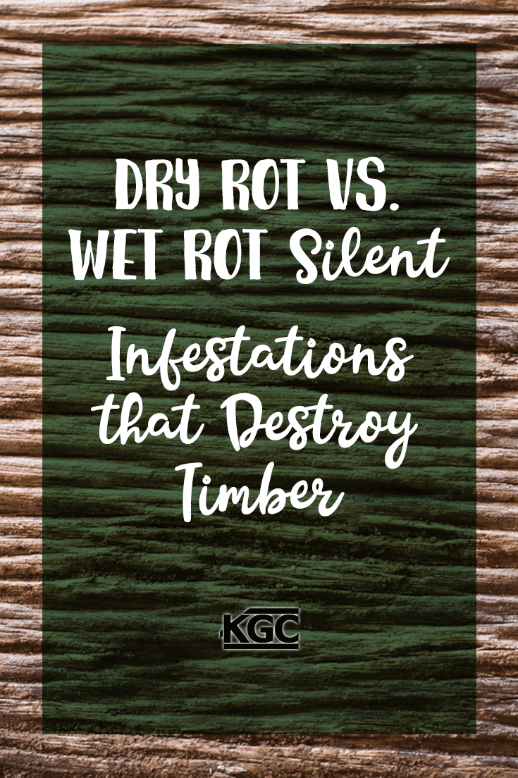 Dry Rot Versus Wet Rot: Silent Infestations that Destroy Timber